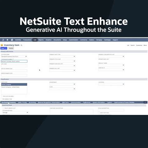 Netsuite Text Enhance Dave Gilbert
