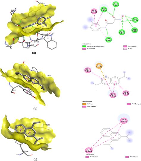 3d Left And 2d Right Views Of Molecular Interactions Of A Eek B