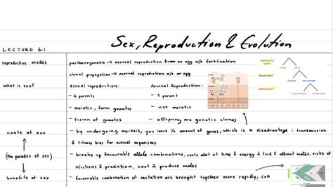 Lecture 61 Sex Reproduction And Evolutionary Modes Explained Studocu