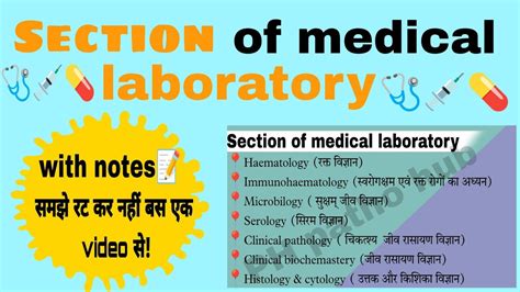 Section Of Medical Laboratory Segment Of Laboratory Branch Of Laboratory Pathology