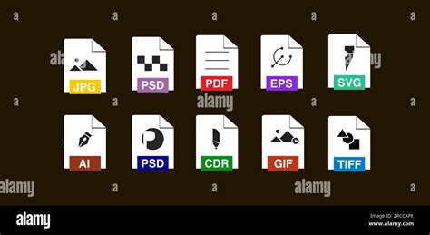 File Type Icon Set Popular Files Format And Document In Flat Style Design Format And Extension