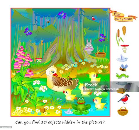 사진에 숨겨진 10개의 물건을 찾을 수 있습니까 어린이와 성인을 위한 논리 퍼즐 게임 숲 속 호수에 있는 오리와 그녀의 아기들의 모습 어린이를 위한 교육 페이지 벡터 그리기