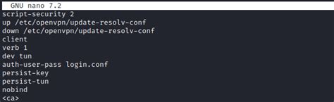 mengatasi masalah dns leak di openvpn linuxsec