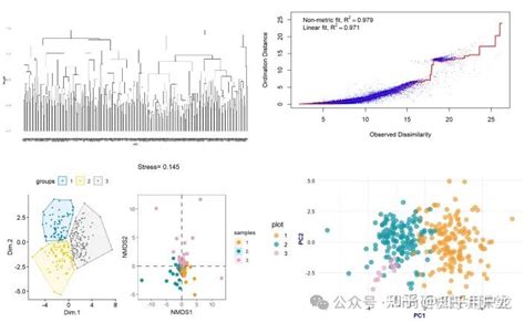【深度解析】r语言森林生态系统结构、功能与稳定性分析与可视化 Csdn博客