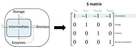 Constraints — Cfba Python Documentation