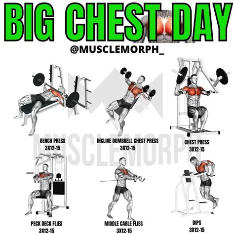 Musclemorph® Morph Yourself On Instagram 🚀 Who Is Training Chest