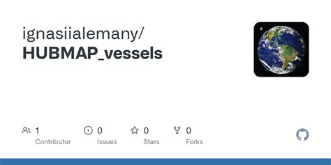 github ignasiialemany hubmap vessels
