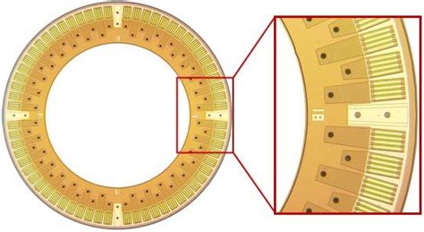 Optical Picture Of A Cmut Ring Array Composed Of Rectangular Membranes Download Scientific