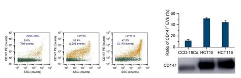 Disease Diagnosis Nanofcm Disease Diagnosis Nanofcm