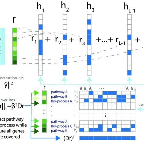 Assigning Single Cell Gene Set Activity Scores Using An Autoencoder