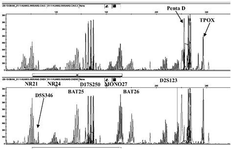 Microsatellite Unstable State Detection Kit And Detection Method Thereof Eureka Patsnap