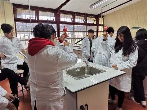 Liceo Bicentenario Araucanía Laboratorio De Ciencias Prodelab