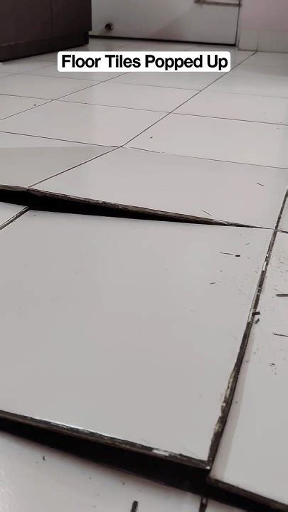 Floor Tiles Popped Up Building Tilespopup Problems Winter Besafe