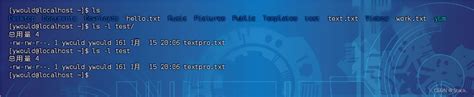 linux操作命令路径中后面加 和不加 的区别 linux文件夹带不带最后一个斜杠 csdn博客