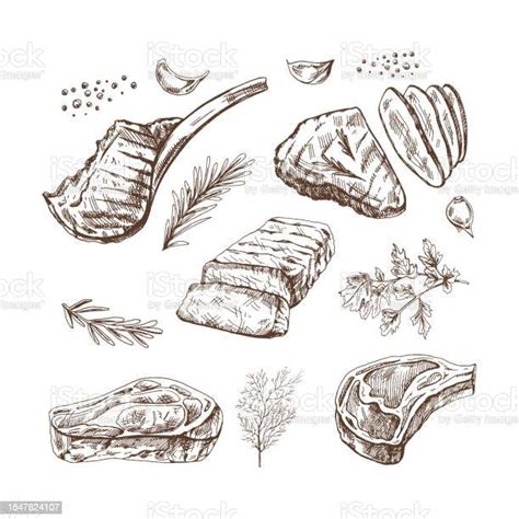 허브와 조미료를 곁들인 바베큐 고기 조각의 손으로 그린 스케치 세트 레스토랑과 카페 스테이크 메뉴의 디자인 빈티지 낙서 그림입니다 새겨진 이미지입니다 갈비 음식에 대한 스톡
