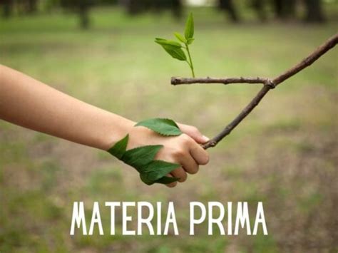 Materias Primas Qué Es Ejemplos 【 2022