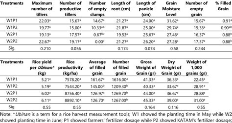 Rice Productivity Comparison For Planting Time In May August W1 And
