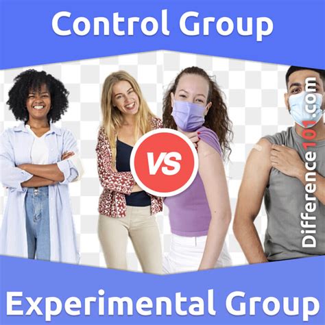 Control Group Vs Experimental Group 5 Key Differences Pros And Cons