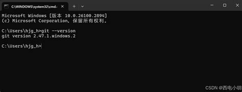 Github开源项目复现指南如何复现github代码 Csdn博客