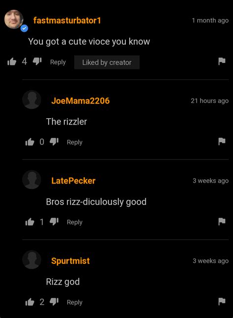 Rizz Rpornhubcomments