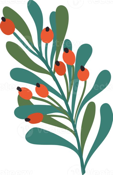 Floral Element Twig With Leaves And Berries 12421314 Png