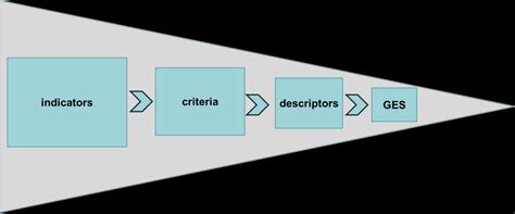 1 schematic representation of the aggregation across assessment levels