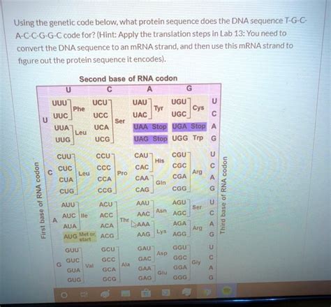 SOLVED: Using the genetic code below, what protein sequence does the DNA sequence T-G-â‚¬ A-C-C ...