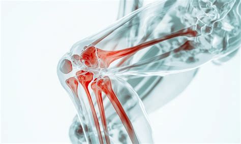 ★인공지능 Ai 추월차선 Vod 패키지