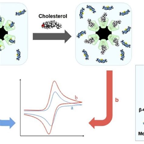 β Cyclodextrin Fe3o4nanocompositefor Cholesterol Sensor Reprinted With Download Scientific