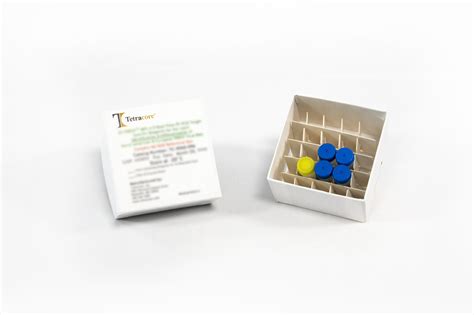 Real Time Pcr Dna