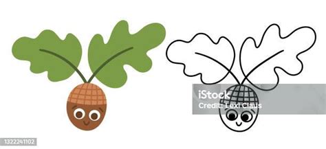 색칠한 오크 잎과 흑백 일러스트가 있는 벡터 가와이 도토리 플랫 및 라인 스타일의 가을 아이콘 흰색 배경에 고립 된 재미있는