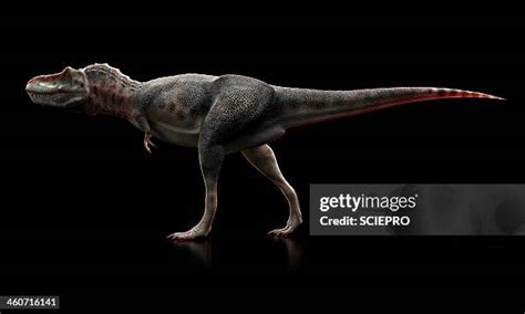 Tarbosaurus Bataar Photos And Premium High Res Pictures Getty Images