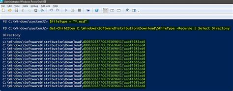 uup to iso create bootable iso from windows 10 build upgrade files page 13 tutorials