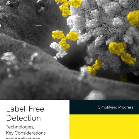 Label Free Detection Technologies Key Considerations And Applications Sartorius