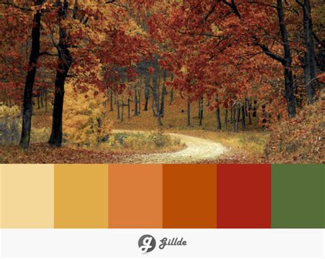 Fall Pictures Color Palette