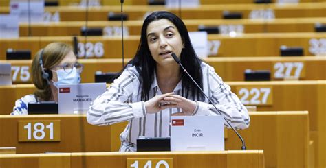 Antiromska Utspel I Eu Parlamentet
