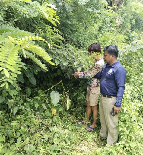 នគរបាលឃាត់ខ្លួនជនសង្ស័យ៤នាក់ករណីប្រើហិង្សាកាប់ម៉ូតូនិងជនរងគ្រោះនៅស្រុកស្វាយជ្រំ សារព័ត៌មាន នគរវត្ត