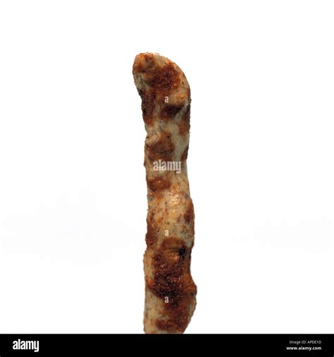 Twiglet Stock Photo: 1498652 - Alamy