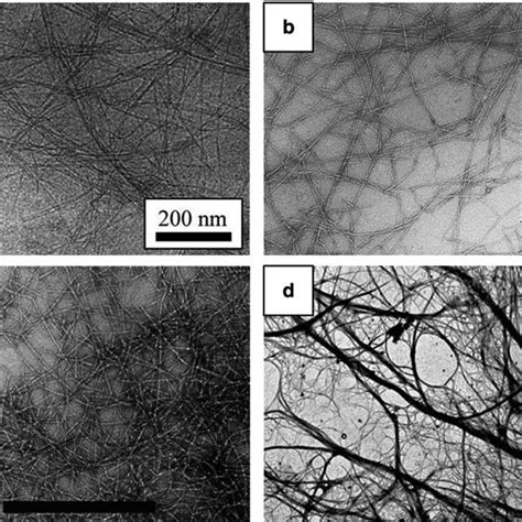 PDF Nanocellulose Based Composites