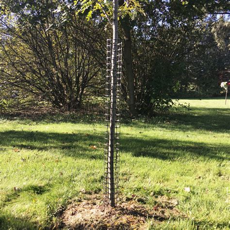 Protect Your Trees From Deer With Deer Tree Guards The Benner Deer Fence Company