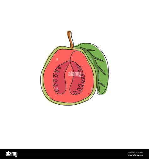 One Single Line Drawing Half Sliced Healthy Organic Java Guava For Orchard Logo Identity Fresh