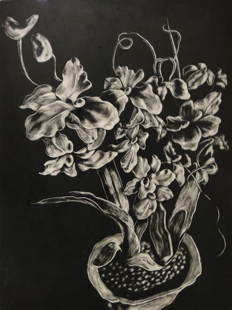 Scratch Art Flowers By Heathcliff On DeviantArt