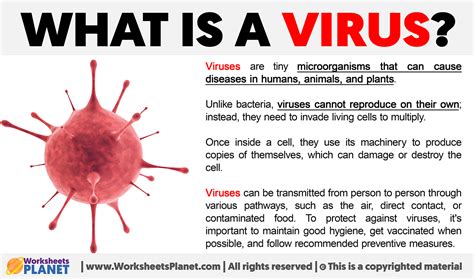 What Is A Virus Definition Of Virus