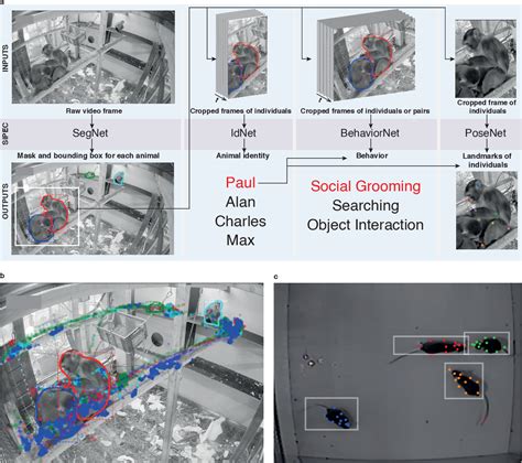 Figure 1 From Deep Learning Based Identification Pose Estimation And