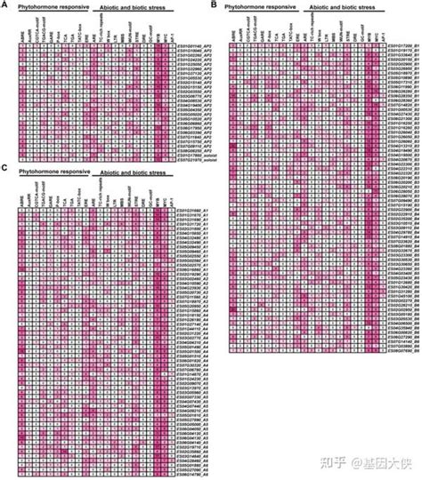 基因家族发二区？还不想做实验？来学学这篇文章 知乎