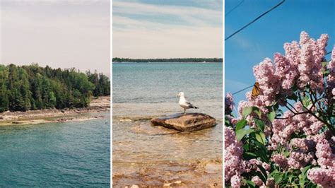 Against The Grain A Journey Back To Film Photography My Wandering Voyage