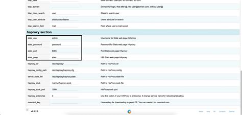 Configure Roxy WI For Custom HAProxy Stats Page