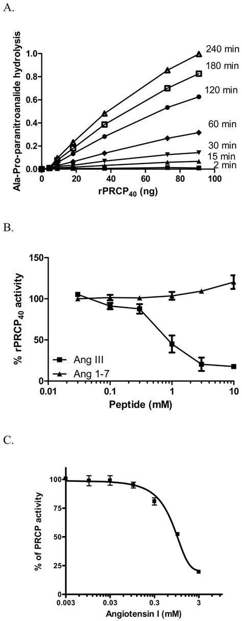 The Functional Importance Of The N Terminal Region Of Human