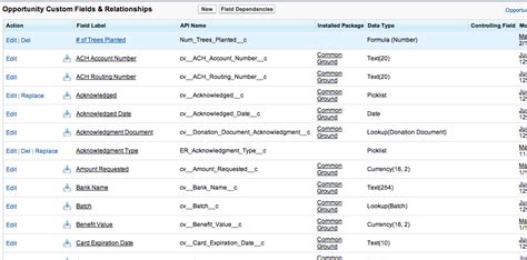 Why Cant I Update These Custom Fields In Salesforce Stack Overflow