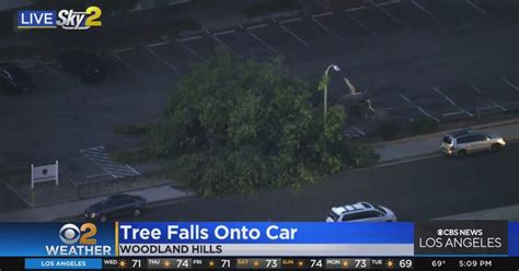 Fierce Santa Ana Winds Wreak Havoc Across Southern California Cbs Los
